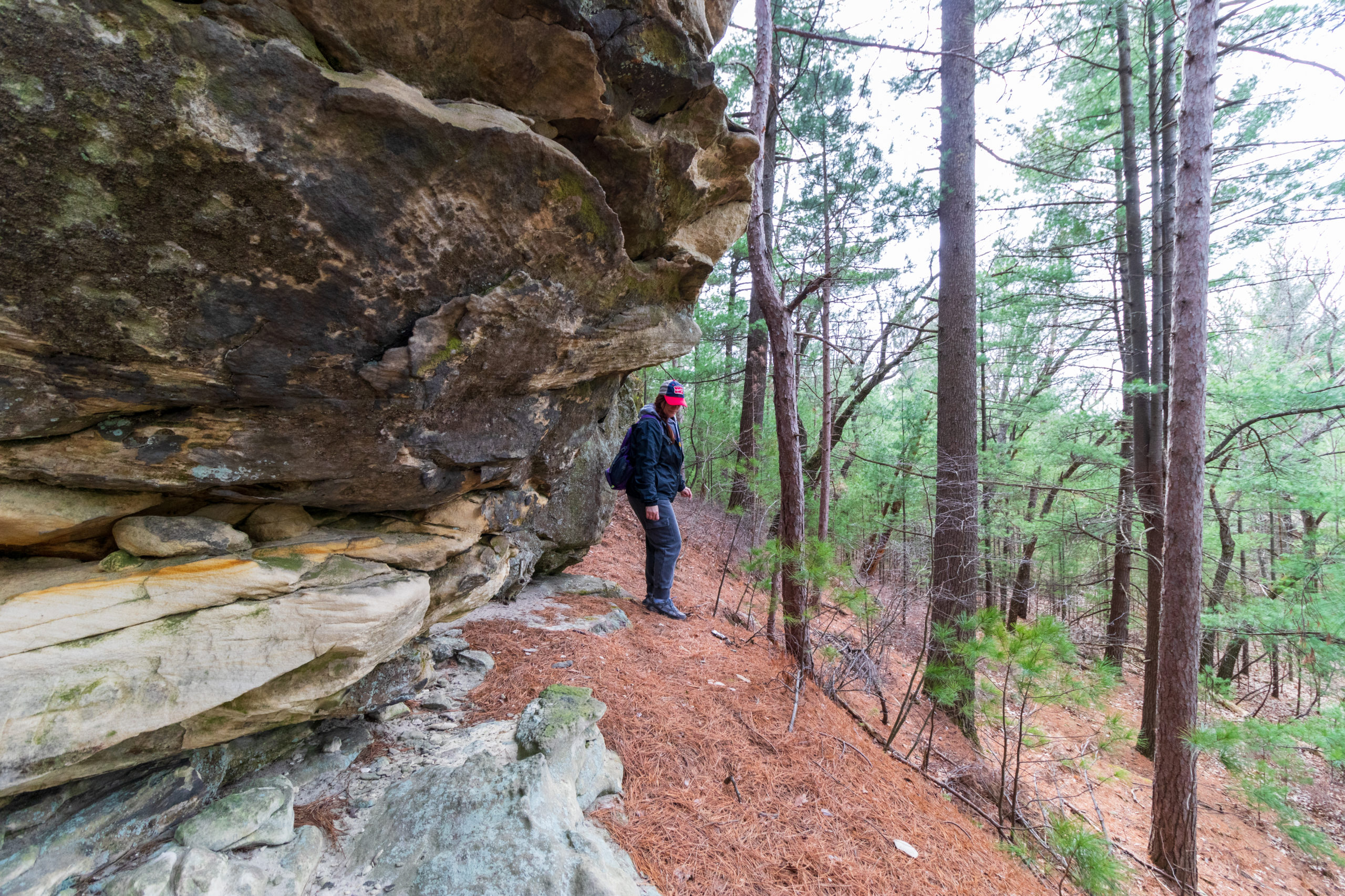 Mill Bluff State Park - Rugged Mile