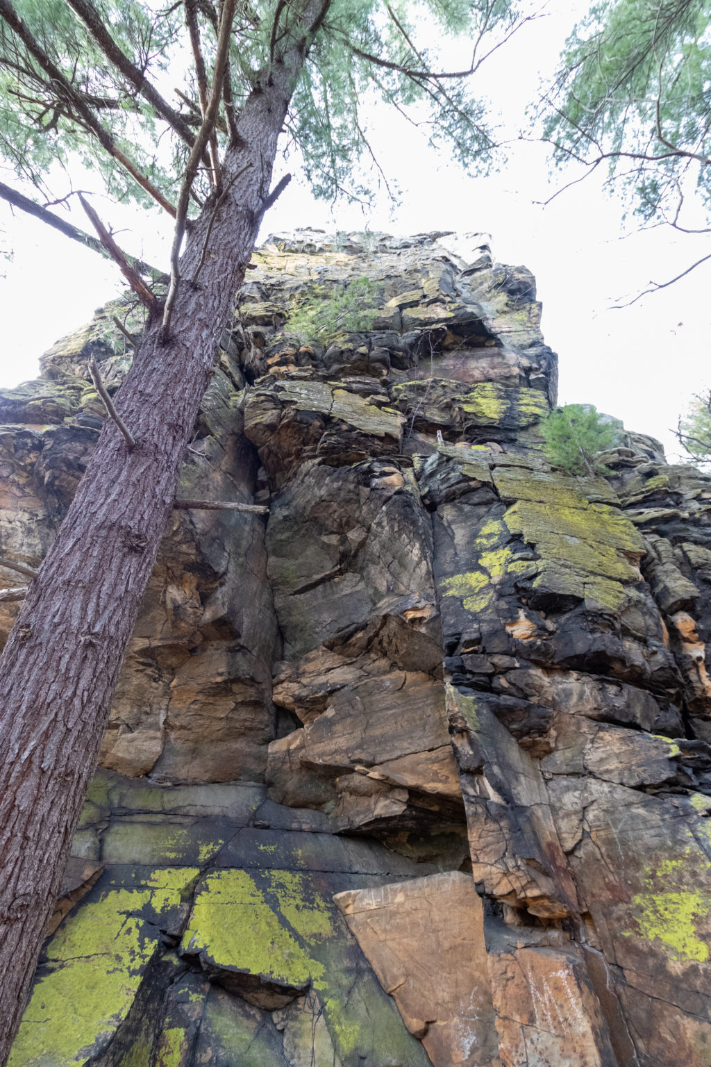 Mill Bluff State Park - Rugged Mile